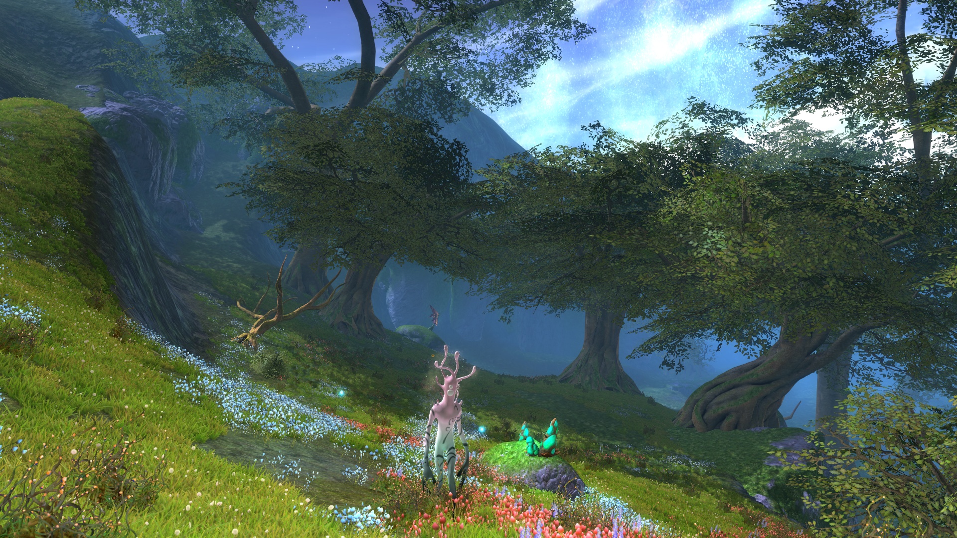 Scatherran Forest, Part I – Rift.Pictures